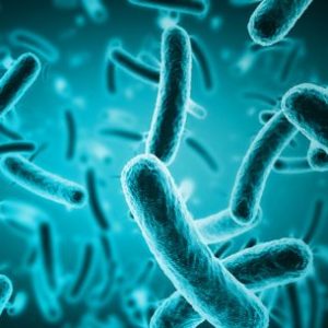 BioCina - The Global End to End CDMO That’s Always Ahead of your Needs