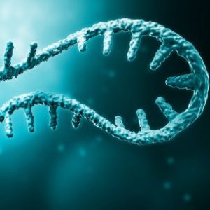 BioCina - The Global End to End CDMO That’s Always Ahead of your Needs